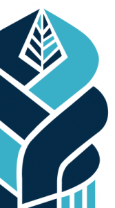 Papakura Intermediate